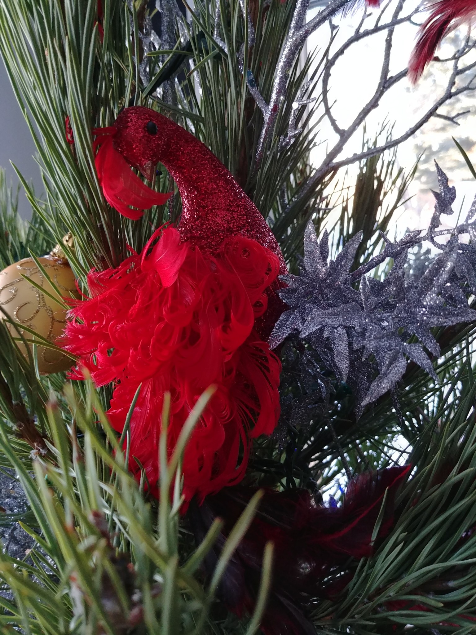 Pokey The Murder Tree – Melanie Cole