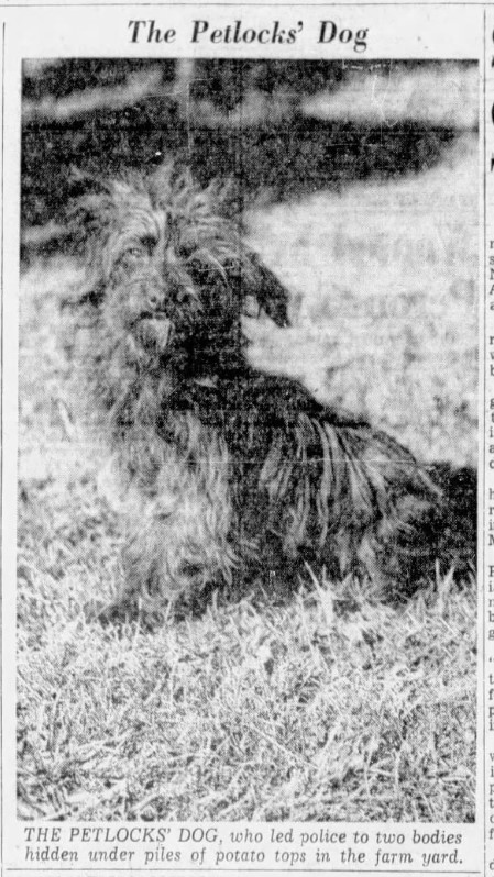 The Petlock Murders – Melanie Cole